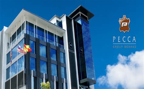 Pecca Aviation Aims For Global Expansion