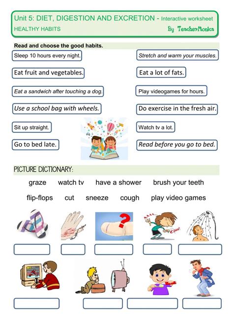 Grade 5 Health Worksheets In 2025 Hygiene Lessons Worksheets Health