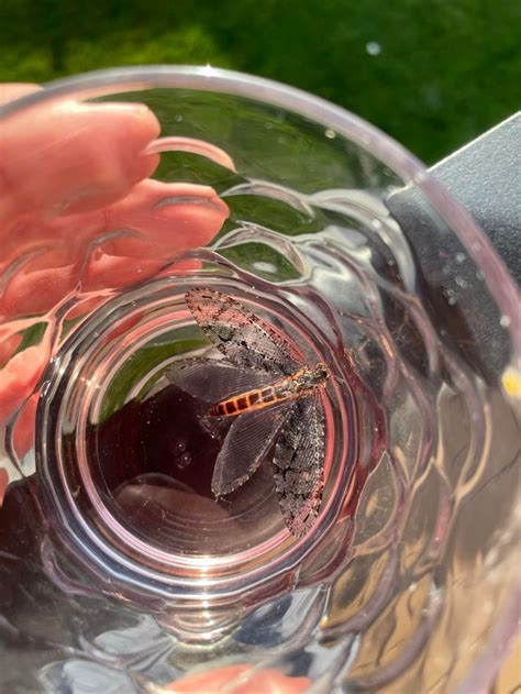 Can Some1 Help Me Mcu Mcu Shutdown Timer Too Close This Often Indicates The Host Computer