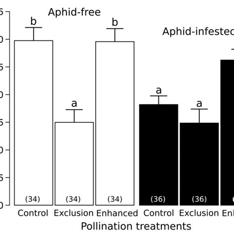 Comparison Of Seed Set Of Aphid Free White Bars Vs Aphid Infested