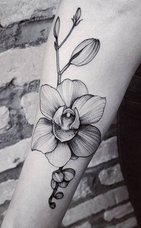 60 Orchid Tattoo Designs Ideas Orchid Tattoo Tattoo Designs Tattoos