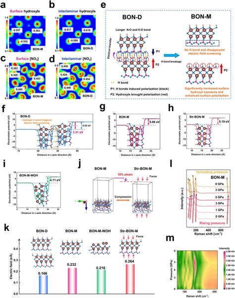 高达97027！师从陈创天院士，地大「四青人才」黄洪伟，新发am！ 华算科技