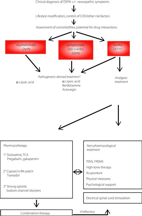 Treatment Algorithm For Diabetic Sensorimotor Polyneuropathy Dspn Download Scientific