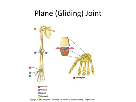 Ppt Articulations Powerpoint Presentation Free Download Id6517836