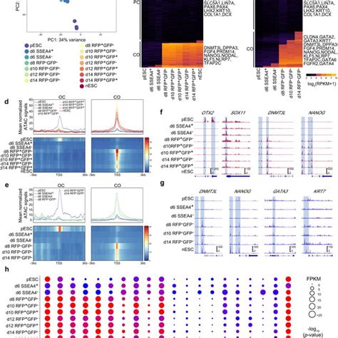 Single Cell Transcriptome Profiling During The Primed To Naive