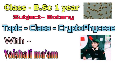 Class Cryptophyceae Youtube