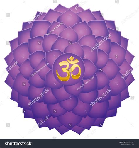 꽃잎 왕관 5 262개가 넘는 로열티 프리 라이선스 대상 스톡 일러스트 및 그림 Shutterstock