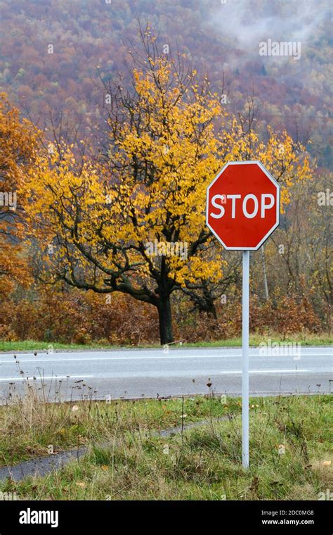 Close Up Road Warning Stop Sign Over Autumn Mountain Forest Landscape