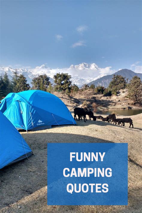 Funny Camping Quotes And Captions