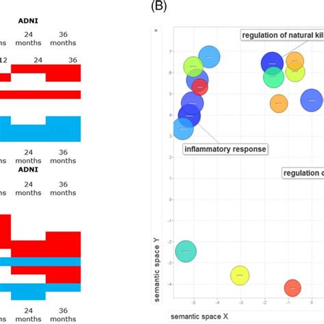 A Heat Map Denoting Significant Analytes From Adni And Discovery