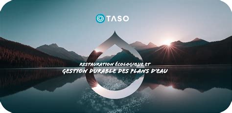 Analyser Et Corriger Le Ph De Votre Étang Pour Favoriser La Vie