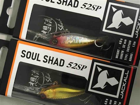 エリアトラウト 大物狙いルアー使い分け 夫婦で釣り修行