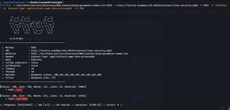 Hack The Box Academy Attacking Web Applications With Ffuf Write Up