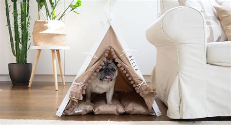 Boho Beige Dog Teepee Bed Dog And Teepee