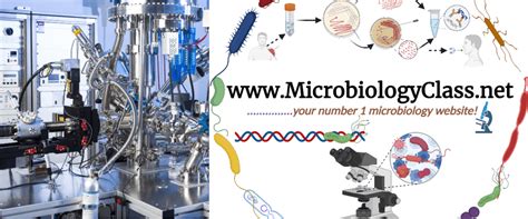 1 Microbiology Resource Hub Lessons And Courses On Microbiology