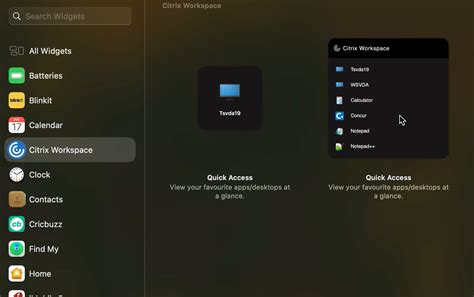 App Preferences Citrix Workspace™ App For Mac