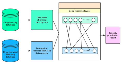 Machine Learning Based Toxicity Prediction From Chemical Structural Description To