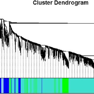 Cluster Dendrogram Of MRNA Modules Dataset GSE52194 Branches Of The Download Scientific