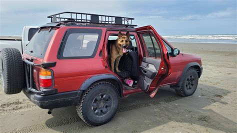 Adventure Buddy Exploring The Pacific Ocean Scrolller