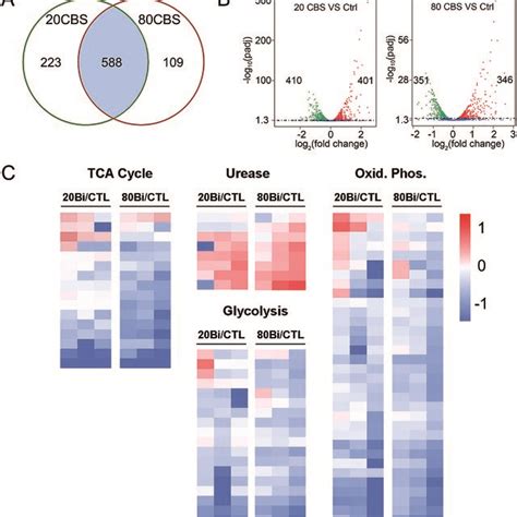 Transcriptomic Profiling Reveals Altered Gene Transcription Patterns In