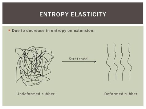 Rubber Elasticity