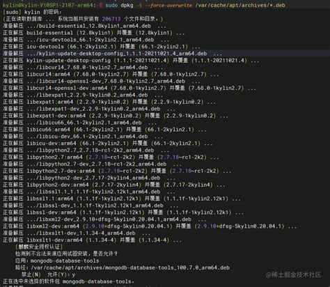 国产麒麟V 操作系统 arm 架构 安装mongodb纪实在国产麒麟操作系统上安装MongoDB说实话一开始我没怎 掘金