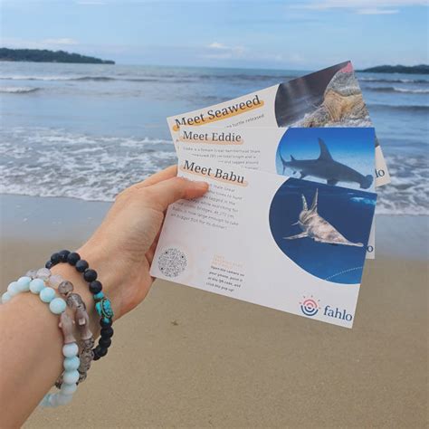 Fahlo Wildlife Tracking Bracelets Australia Zoes Kitchen And Living