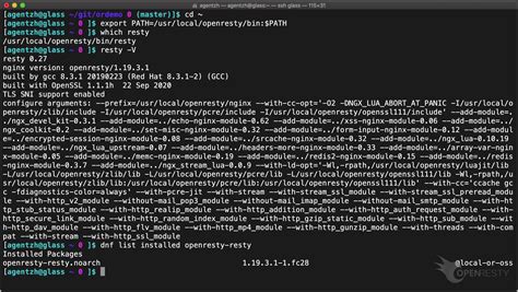 Resty 命令行工具演示 Openresty 官方博客