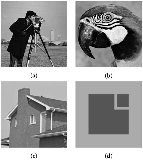 a simplified convex optimization model for image restoration with