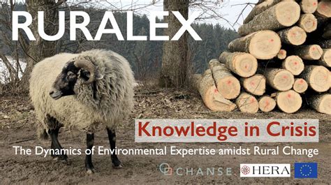 We Are Hiring Alice Eldridge