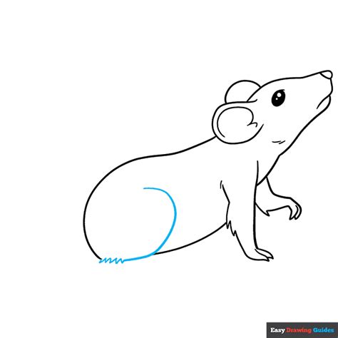 Simple Rat Drawing