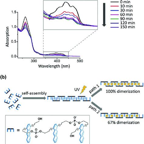 A Monitoring Of Anthracene Dimerization Within Supramolecular Download Scientific Diagram