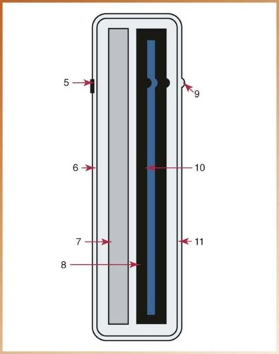 Module 5 Chapter 7 Flashcards Quizlet