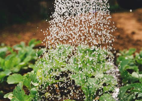 Sustainability In Agriculture Pix4d