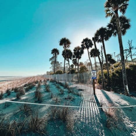 Boneyard Beach Sc The Low Countrys Hidden Gem Secrets Exposed By A