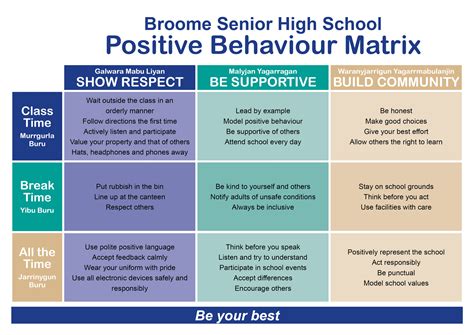 Positive Behaviour Support Framework