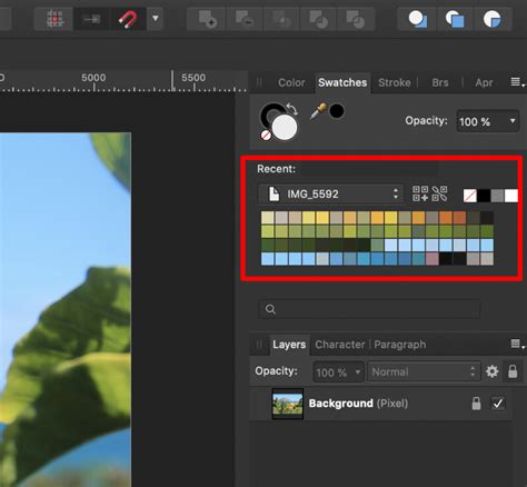 Create A Custom Color Palette In Affinity Designer Shorebird Creative