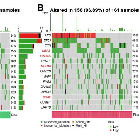 The Mutation Patterns Of Colon Cancer In Different Risk Status A A