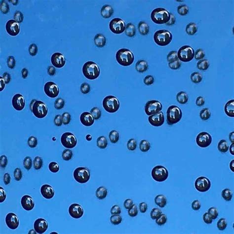 Why Stop In Biot Glass Bubble Glass At La Verrerie De Biot France