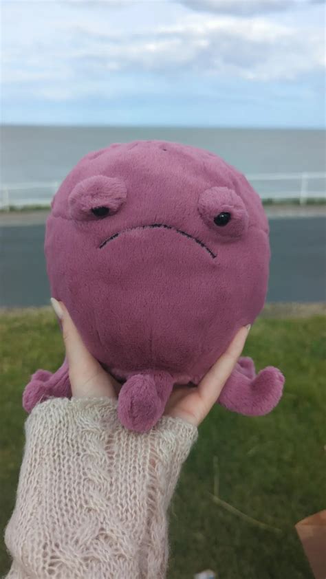 New Member To The Grumpy Gang Rjellycatplush