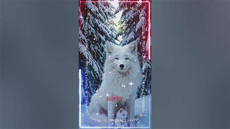 여우와 새끼 Movie Korean 드라마 Youtube