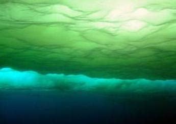 Arctic Ocean Plankton Blooms Beneath The Ice Russ George