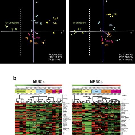 principal component analysis pca and hierarchical clustering hcl