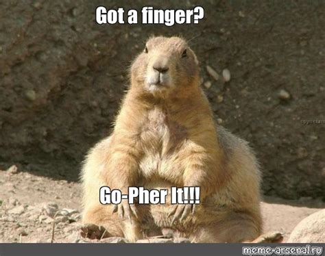 Create Meme Gopher Meme Gopher Gopher Pictures Meme
