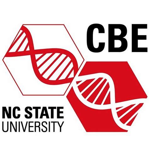 Chemicalengineering Ncstate Engineering Research Lauren Teague