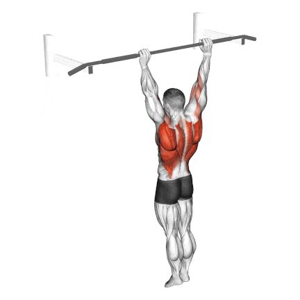 12 Pull Up Bar Exercises For A Full Body Workout