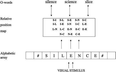 Functional Architecture For Orthographic Processing A Letter String Is