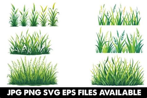 Grass Vector Clipart Bundle For Designs Graphic By Designs River