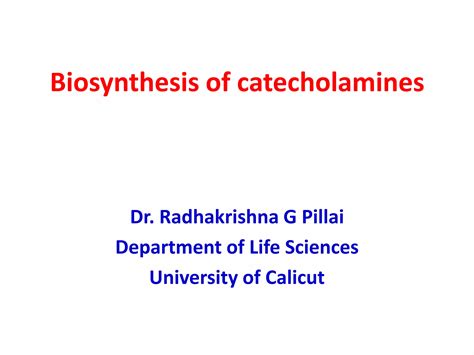 Biosynthesis Of Catecholamines Pptx