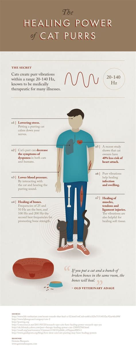 Data Chart 4 Brilliant Ways Cats Are Secretly Helping Their Owners Live Healthier Lives